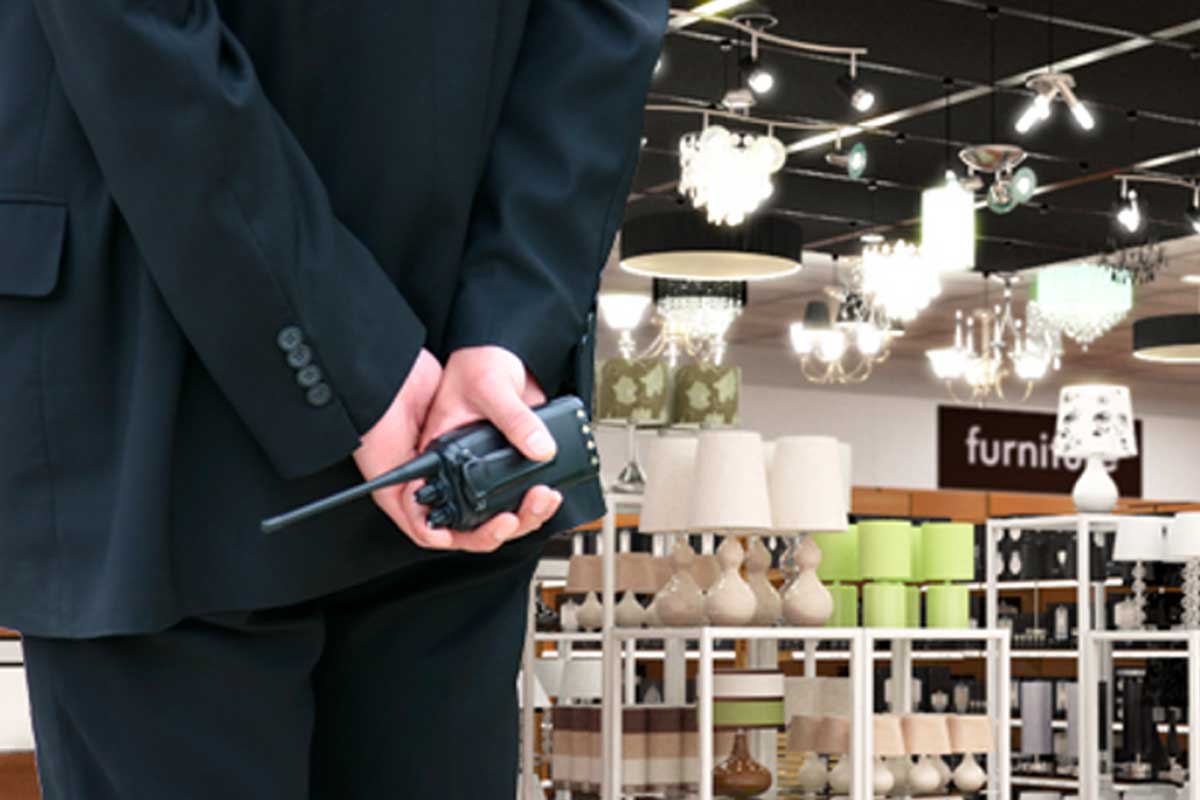 Camera Monitoring - 360 Protective Solutions